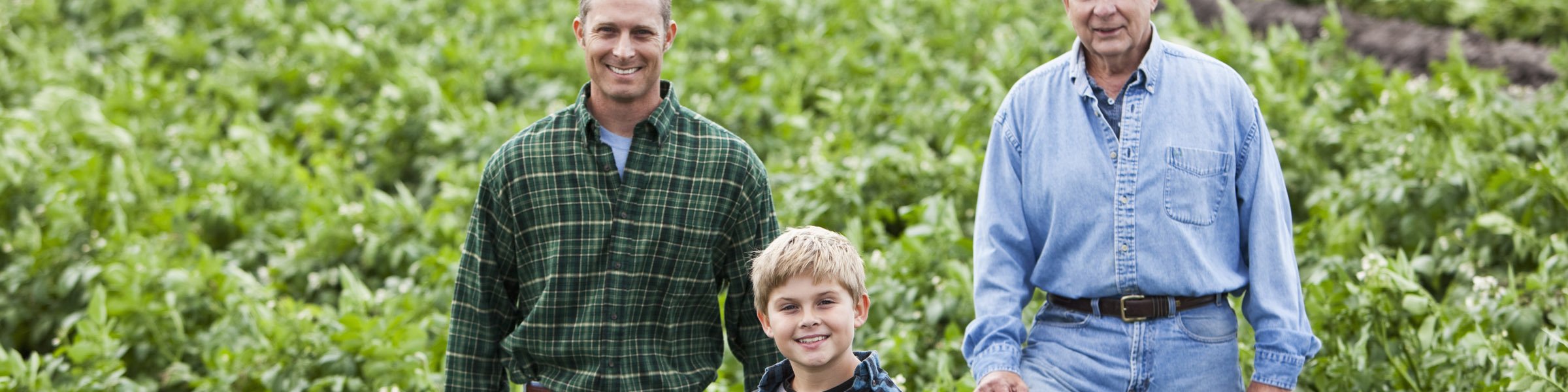 Succession Planning | TDS Law